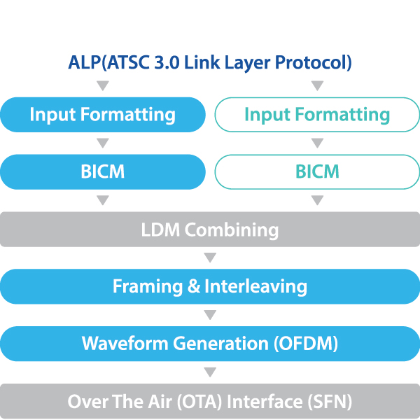 TTA정보통신용어사전